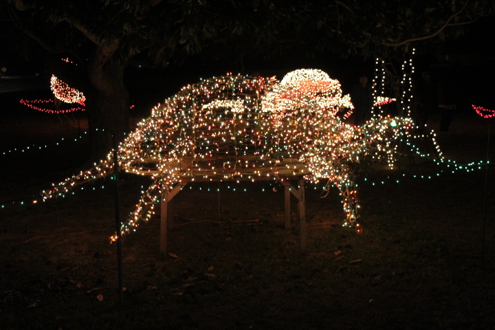 Watch The Gilley's Christmas Lights On ABC's The Great Christmas Light ...