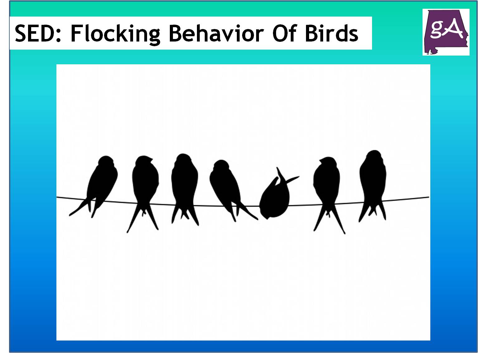 Watch Smarter Every Day Explain The Flocking Behavior Of Birds Boids Algorithm Geek Alabama 1702