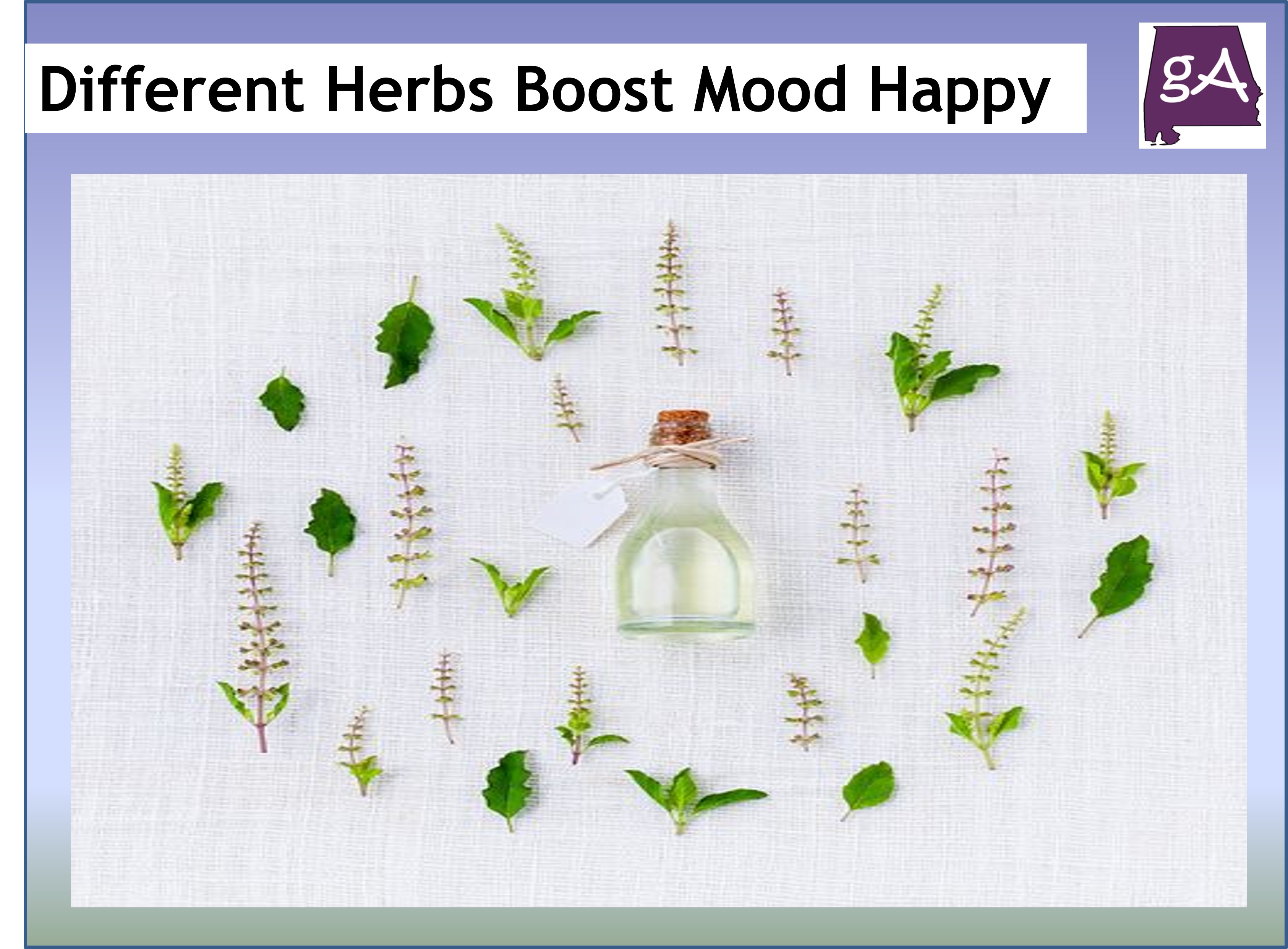 Different Herbs To Boost Your Mood And Make You Feel Happy - Geek Alabama