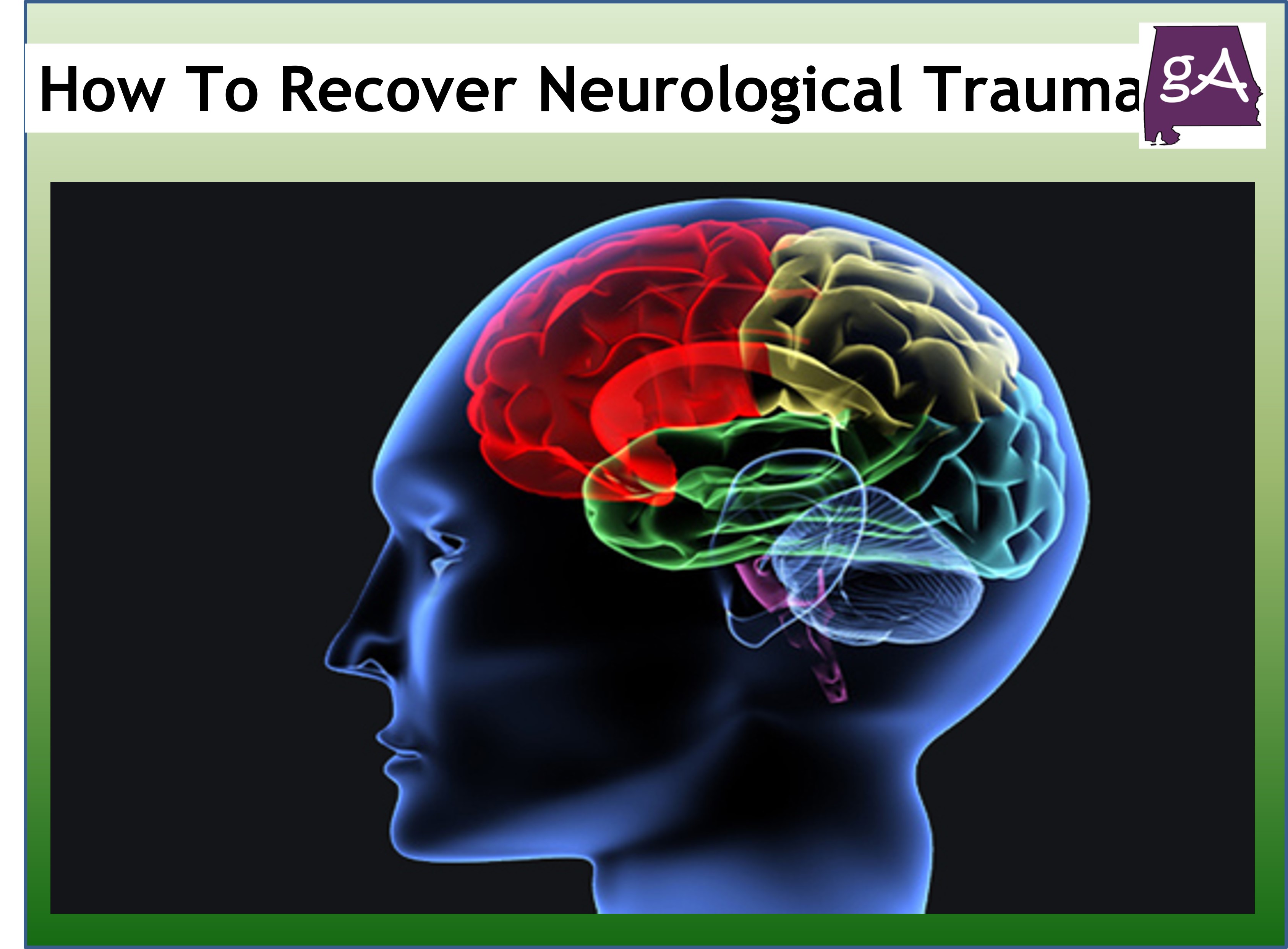 See How To Recover From Neurological Trauma - Geek Alabama