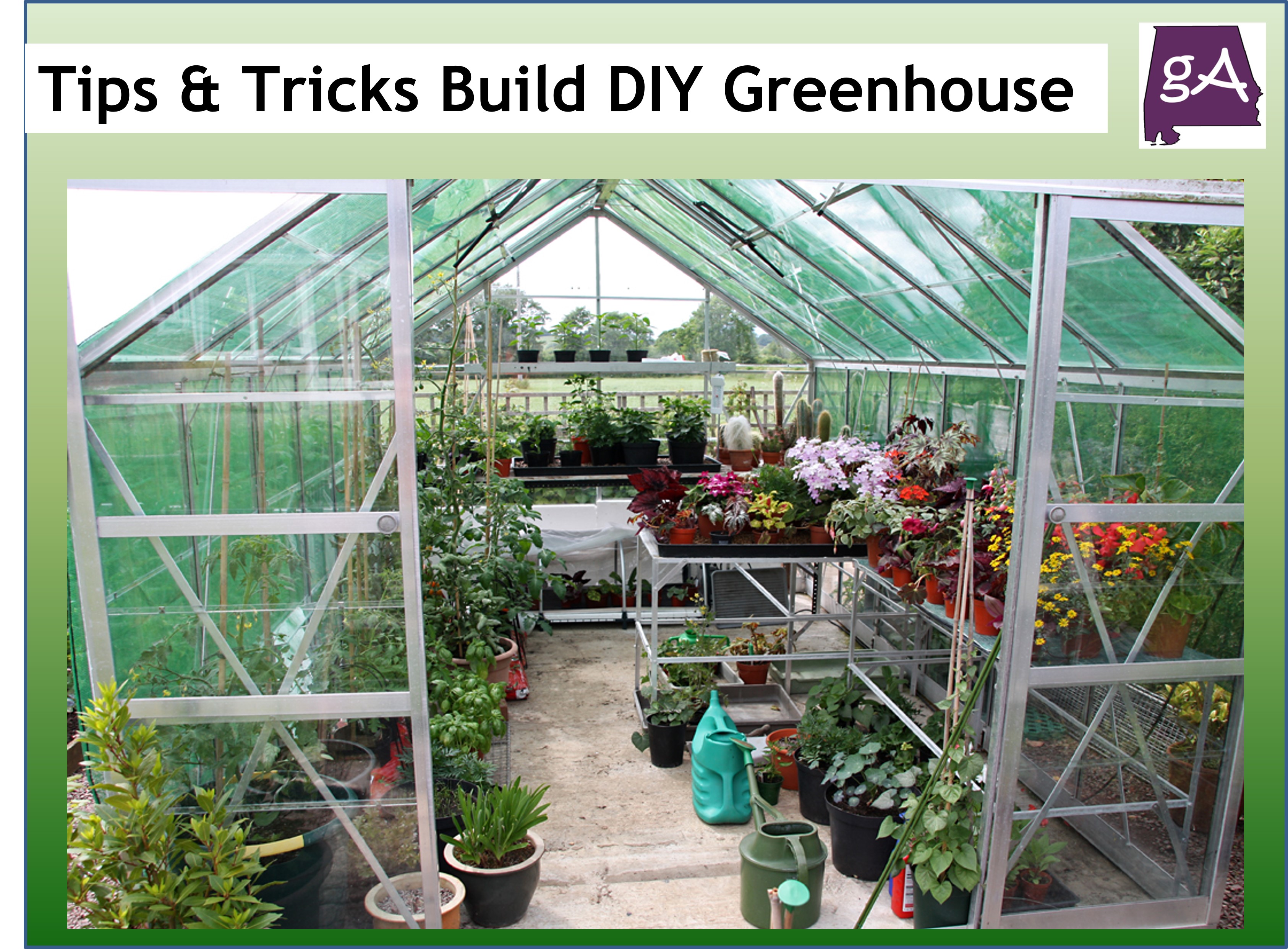 Tips And Tricks For Building Your Own DIY Greenhouse - Geek Alabama