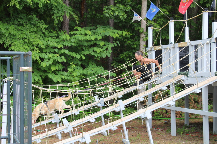 See Photos From The One World Canine Obstacle Run 2023 - Geek Alabama