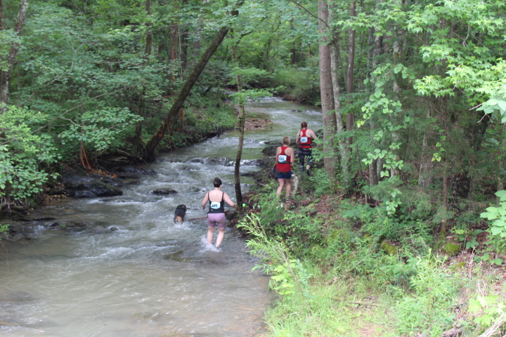 See Photos From The One World Canine Obstacle Run 2023 - Geek Alabama