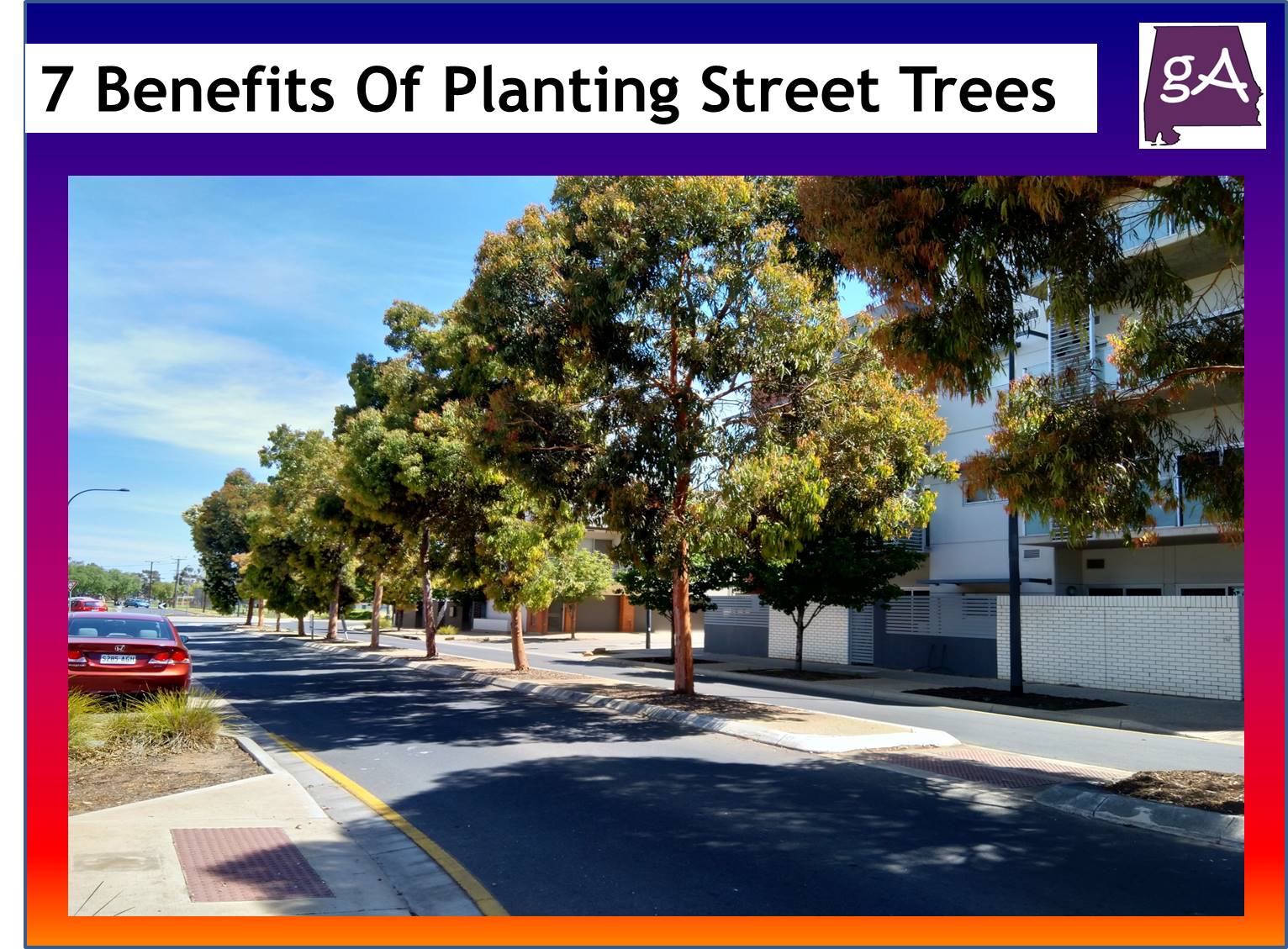 Read The 7 Benefits Of Planting Street Trees In 2023 - Geek Alabama
