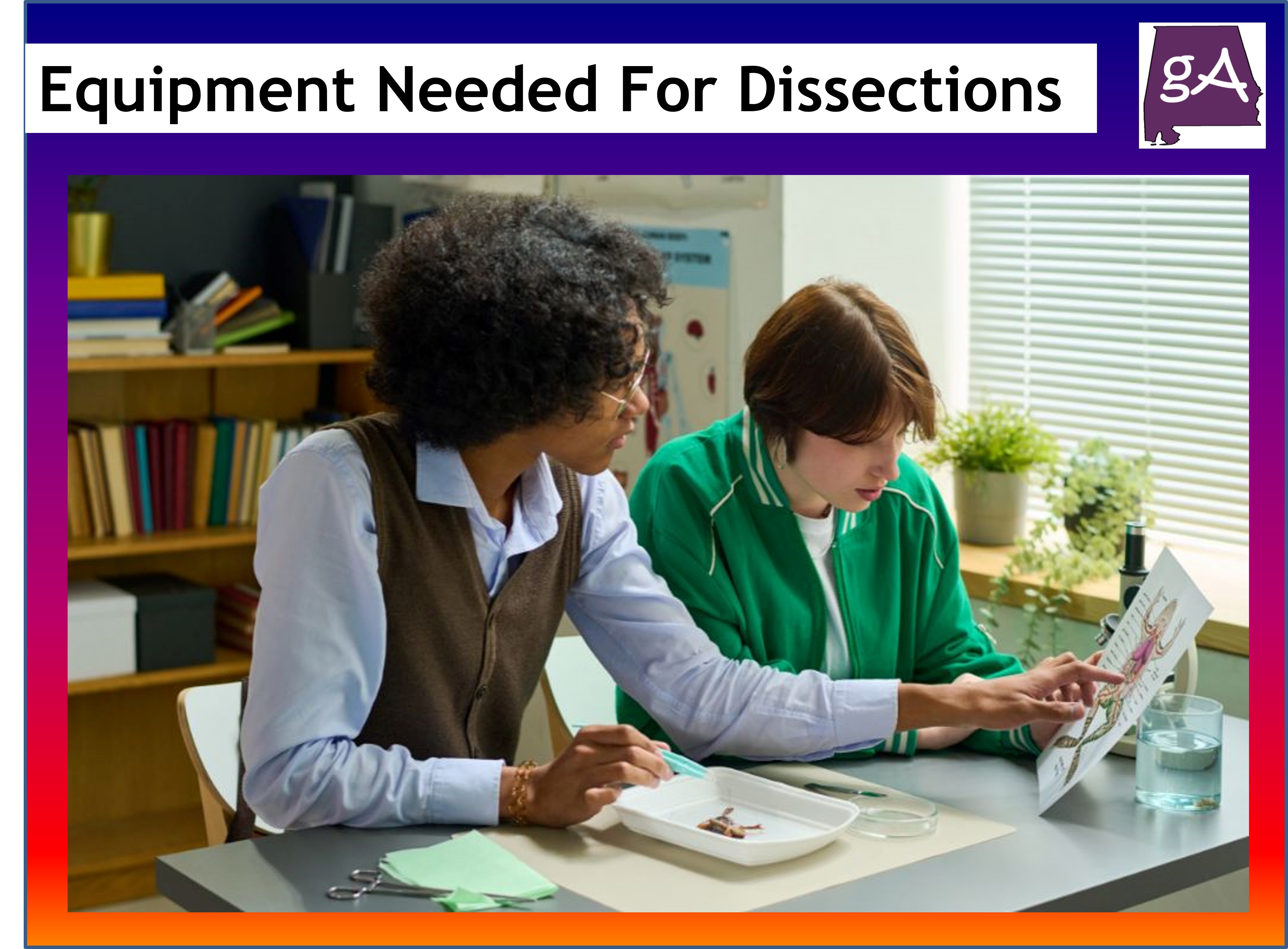 Equipment Any Academic Laboratory Needs for Dissections